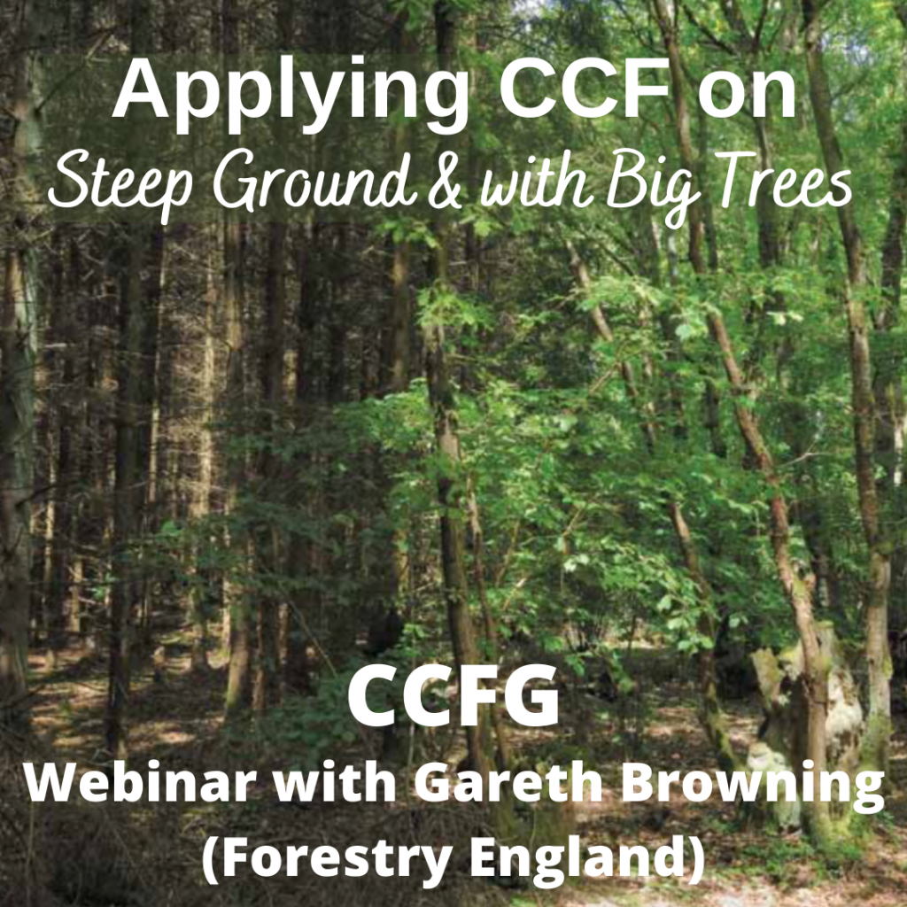 CCFG Webinar: Applying CCF on Steep Ground & with Big Trees - 24 June ...
