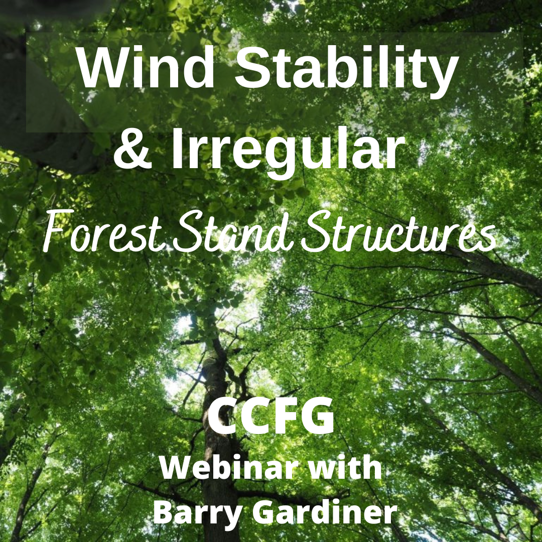 CCFG Webinar: - Wind Stability & Irregular Forest Stand Structures 27 October 2022 - Continuous ...