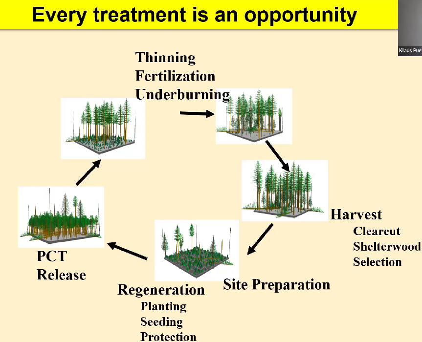 Webinar "Adapting Silviculture to manage for adaptability" available to ...