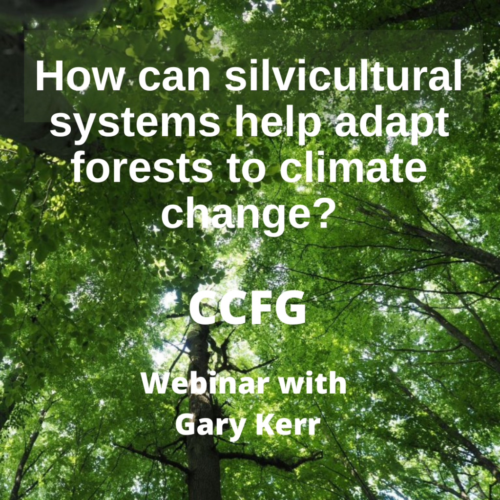 Webinar: How can silvicultural systems help adapt forests to climate ...