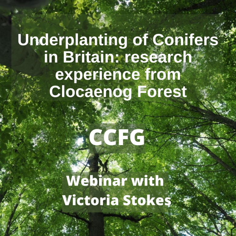 Underplanting with Victoria Stokes - recording available now ...