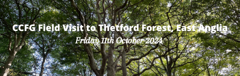 England Field Visit - Thetford Forest, Friday 11th Oct 2024 ...